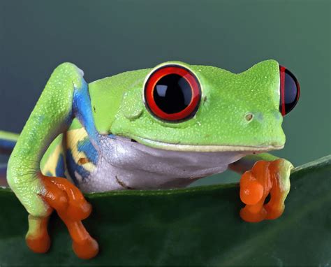 Ai Video Enhancing Totalmedia