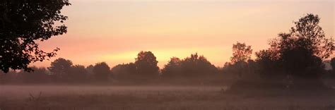 Post 2 Of 3 Our Iot Journey Through Esp8266 Firebase And Plotlyjs