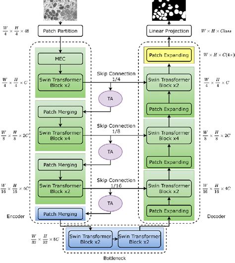 MECTASwin Unet Main Network Structure Download Scientific Diagram