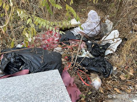 李沧区老虎山公园垃圾遍地遭吐槽 知乎