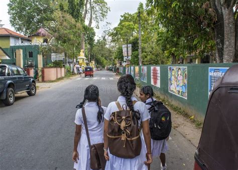 Ragazze Dello Sri Lanka Fotografia Editoriale Immagine Di Ragazza