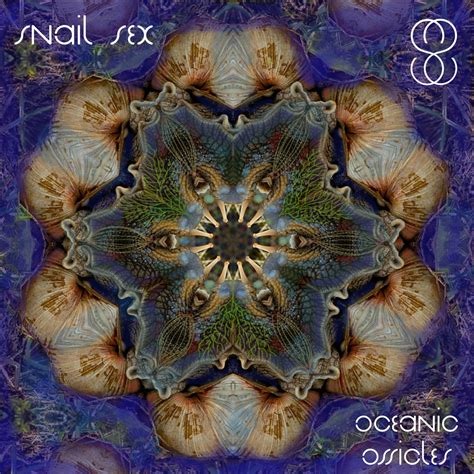 Oceanic Ossicles Snail Sex Theta State Records