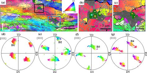 A Region Shows Both Particle Clusters Inside Grain And On Grain Download Scientific Diagram
