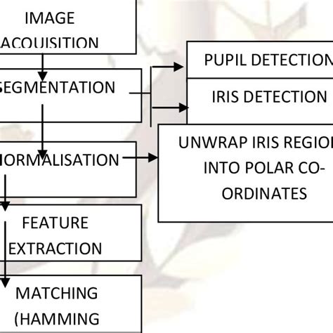 Block Diagram Of Iris Recognition System Download Scientific Diagram