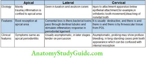Dental Root Resorption Classification Diagnosis Notes Anatomy Study Guide
