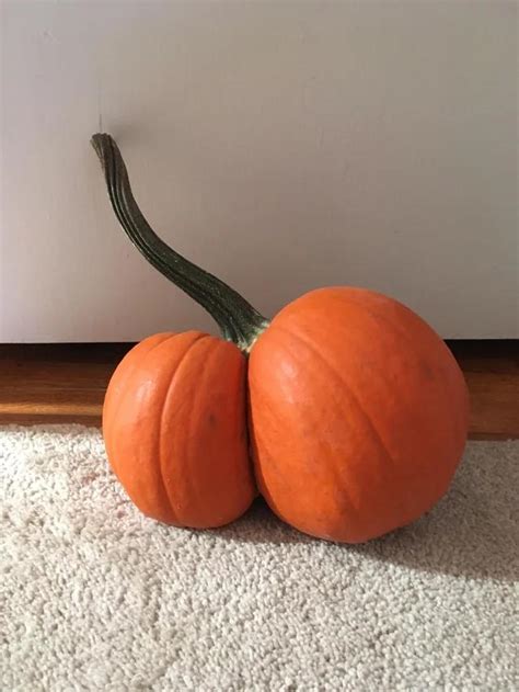 Hrmmmmmggghhhh Dvaass Pumpkin Rrobotjuice