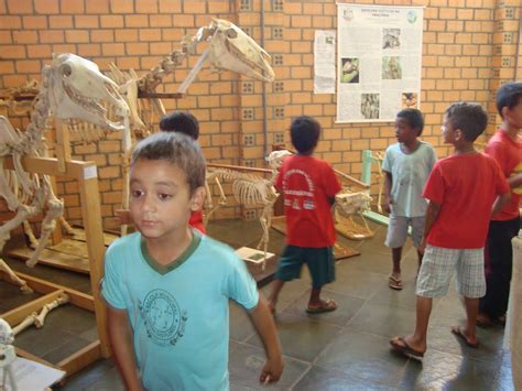 Jornal Jardim Feliz Visita Ao Museu De História Natural De Alta Floresta