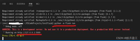 Linux Debian12使用vscode和python搭建flask开发环境debian Vscode Csdn博客