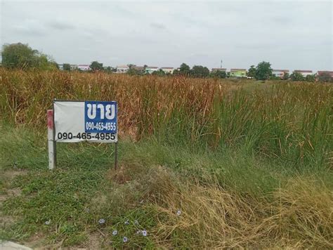 ขายที่ดินเปล่า 2 ไร่ ด้านหน้าติดถนนปูนซิเมนต์ อยู่ในซอยเทศบาลบางปู 83 Ennxo