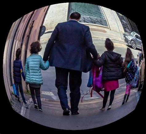 How To Increase Detection Accuracy And Recognition Rate In Vss Felenasoft