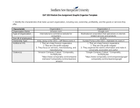 Dat 205 Module One Assignment Wileman Dat 205 Module One Assignment Graphic Organizer