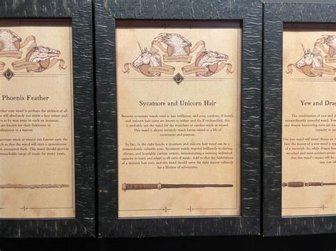 13 New ‘harry Potter Interactive Wands Debut At Ollivanders Including Florida Exclusive At