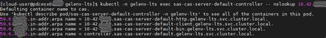 Accessing Cas In Kubernetes From Jupyterhubpython