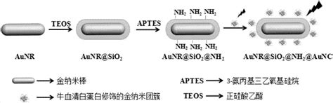 Preparation Method Of Gold Nanocluster Fluorescent System Based On
