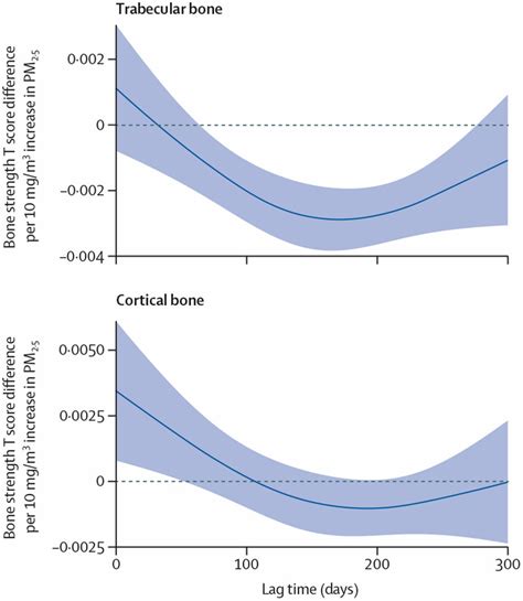 Distributed Lag Model Of Ultrasound Speed Of Sound T Score Differences Download Scientific
