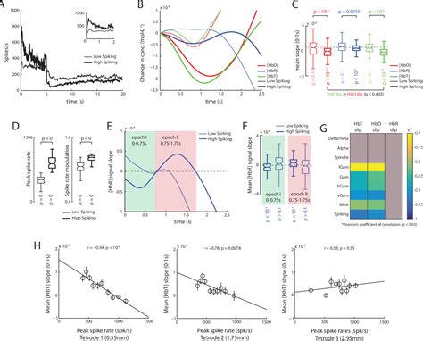 Figure 2 From The Hemodynamic Initial Dip Consists Of Both Volumetric