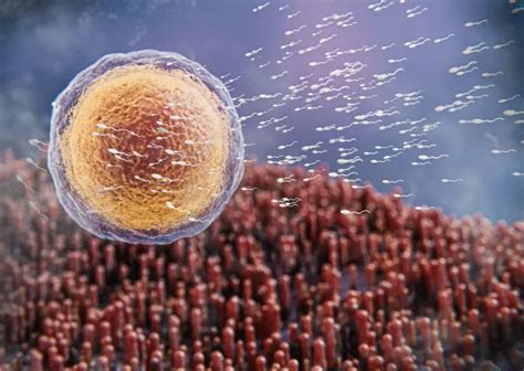 Logarithmic Series A Guide For Math Enthusiasts