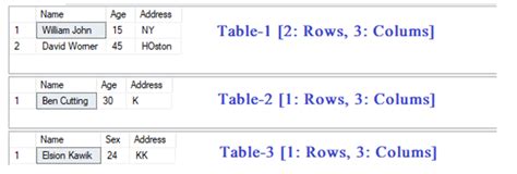 Append Data Tables Side By Side Using Excel Interop