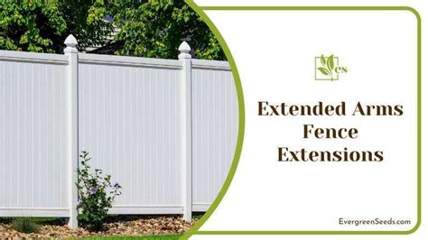 10 Fence Height Extension Ideas How To Make Your Fence Taller Evergreen Seeds