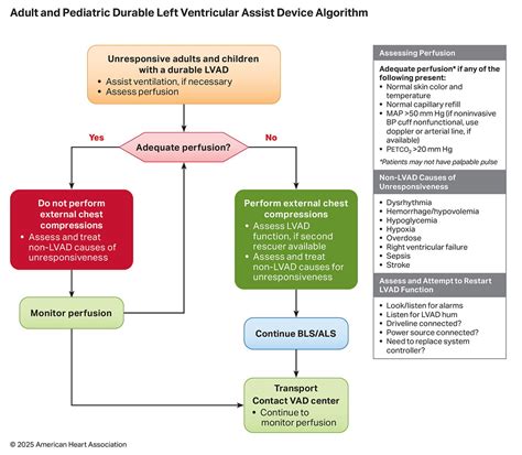 2025 Algorithms American Heart Association Cpr And First Aid