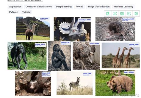 基于迁移学习的pytorch图像分类randomhorizontalflip 默认概率 Csdn博客