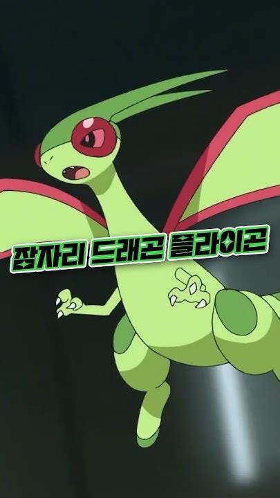 드래곤 타입인 척하는 잠자리 포켓몬 Shorts Youtube