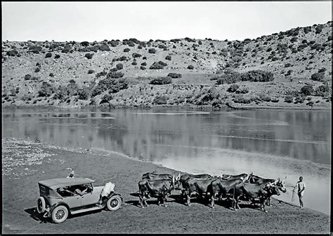 Between Lunacy And Scholarship Being Leo Frobenius The Mail And Guardian