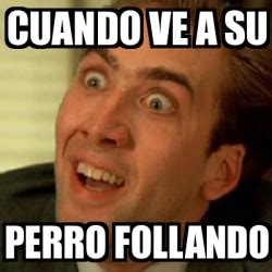 Meme No Me Digas Cuando Ve A Su Perro Follando