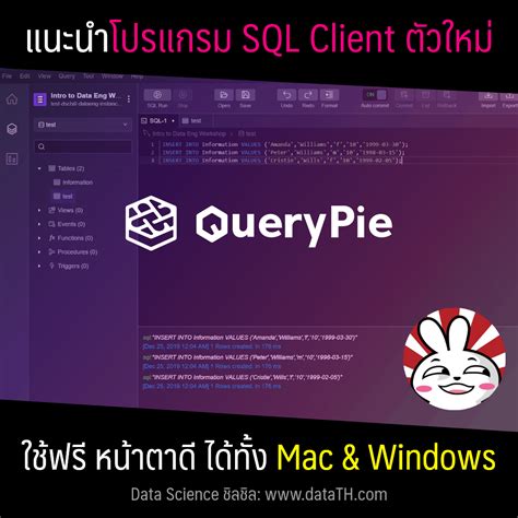 Querypie แนะนำโปรแกรม Sql Client ตัวใหม่ หน้าตาสวย ใช้ง่าย ฟรี รองรับทุกแพลตฟอร์ม เข้าใจ Data