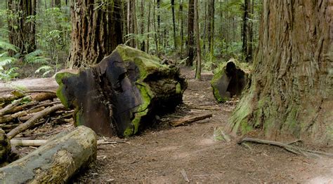 Small Sensor Photography By Thomas Stirr This Website Celebrates The Joy Of Photography And