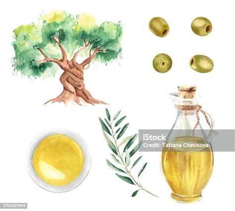 올리브 나무 유리 주전자 기름 올리브 가지 그린 올리브가 담긴 그릇 세트 흰색 바탕에 손으로 그린 수채화 그림 메뉴 상품 이탈리안 그리스 스페인 요리 디자인 개체 그룹에