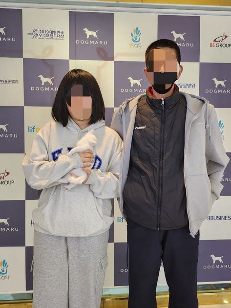 코리안숏헤어 츄츄 보더콜리분양가격 프렌치불독분양가격 빠삐용분양가격 파피용분양가격 사모예드분양가격 스피츠분양가격 시바견분양가격 시베리안허스키분양가격 시츄분양가격 요크셔테리어