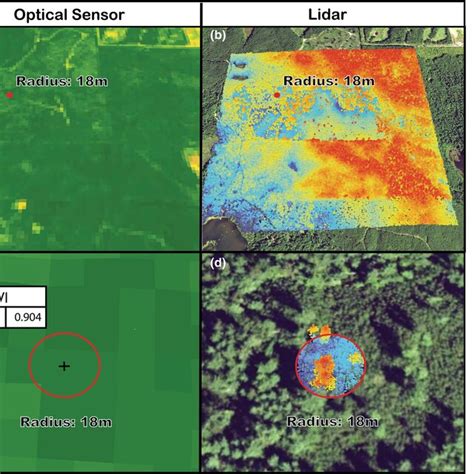 pdf effects of outliers on remote sensing‐assisted forest biomass