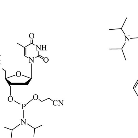 Structures Of Modified Thymidine Phosphoramidites Download Scientific
