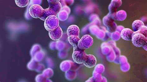 Ai Generado Neumococo Enfermedad Es Un Nombre Para Ninguna Infección