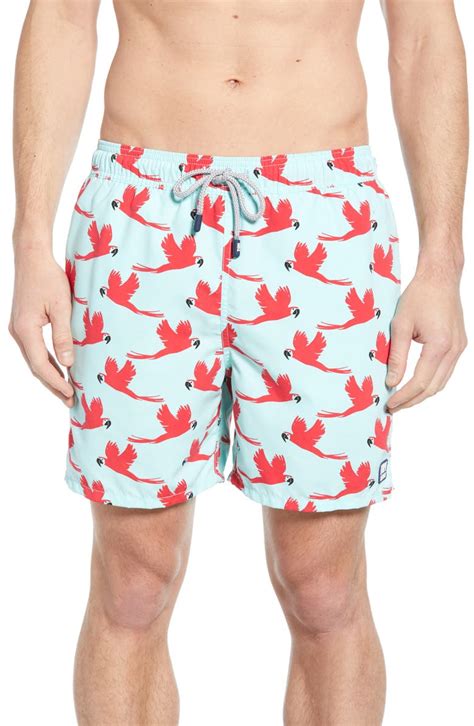 Tom And Teddy Parrot Print Swim Trunks Nordstrom