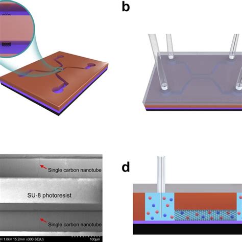 Concept Of Elucidation Single Exosome Flowing And Trapping In The Download Scientific Diagram