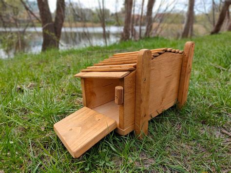 SWIFT BIRDS Nesting Box Nest Box House For Swift Bird Family Nests Swifts Are Mosquito Killers