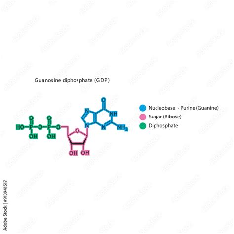 Guanosine Diphosphate Gdp Skeletal Structure Schematic Illustration Nucleoside Molecule