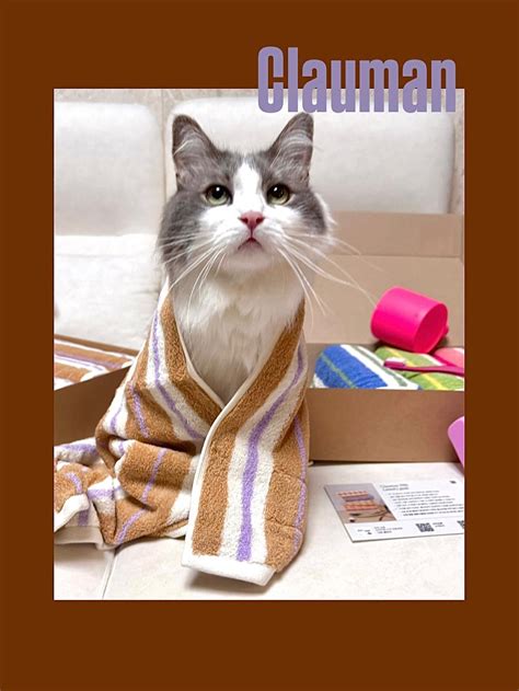 뮬리박스ㅣ맥시멀리스트 🗃️ 제품협찬 💟알록달록 예쁜 ‘데이브 호텔타올💟 오감리뷰 프로그램을 통해 제품을 제공받아 직접 사용하고 스타일링한 후기입니다 1981년부터