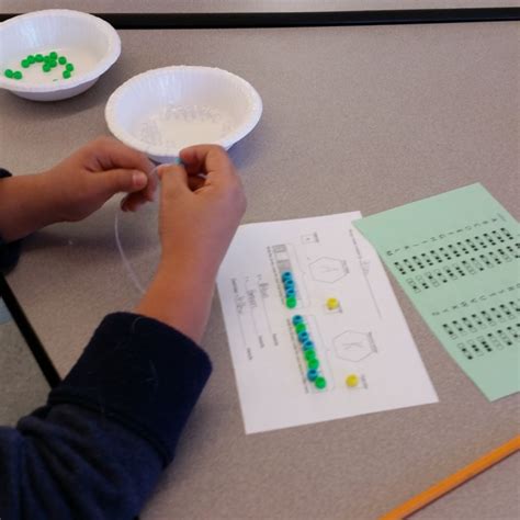 Binary Bracelets Knecht Stem Binary Bracelets Knecht Stem