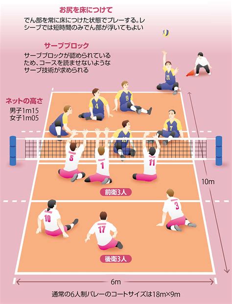 競技早わかり シッティングバレーボール 東京パラリンピック2020速報 読売新聞