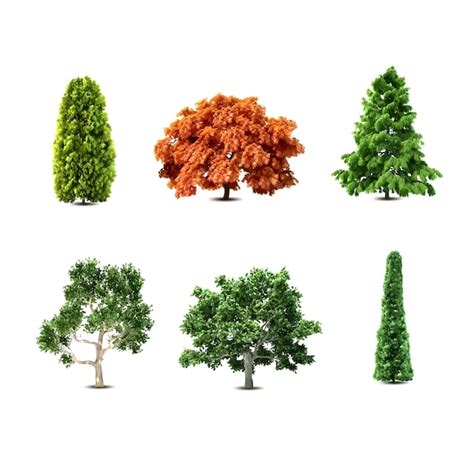 Premium Vector Tree Design Vector Set Collection Vector Illustration