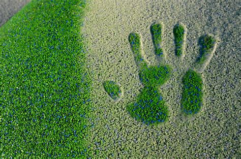 반점 보육 놀이터의 게임 요소 주변에는 분쇄 된 고무로 만든 타탄 고무 표면이 함께 붙어 있습니다 트램폴린이 있는 로프 센터 얼어붙은 호러프로스트의 핸드프린트 용융 0명에