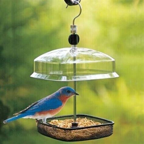 Wild Bird Mealworm Feeder Hanging Birds Feeding Station Canopy Seed By Ebay