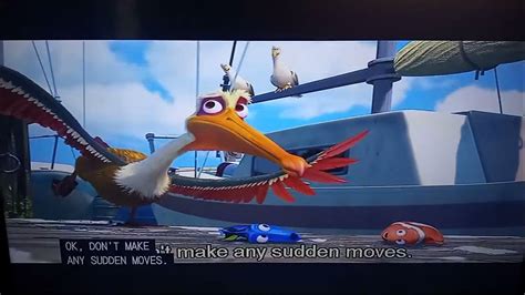 Finding Nemo Pelicans Youtube