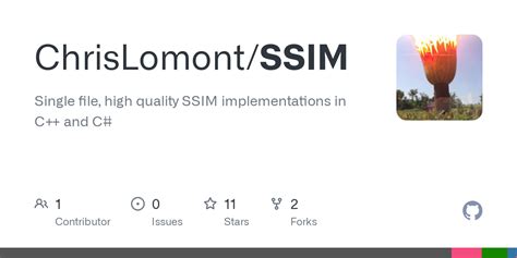 Github Chrislomont Ssim Single File High Quality Ssim Implementations In C And C