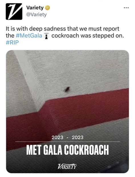 Cockroach Walking Red Carpet At Met Gala Takes Center Stage As Latest