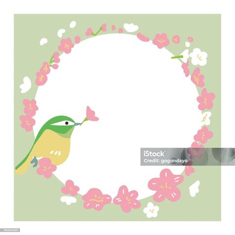 사쿠라 꽃과 흰 눈 그림 소재가 원 안에 드리워져 있습니다 0명에 대한 스톡 벡터 아트 및 기타 이미지 0명 Hanami 녹색 Istock