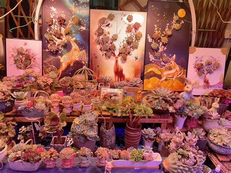 Tiny Succulent Tiny Succulent Plantcraft 小小肉肉植物坊